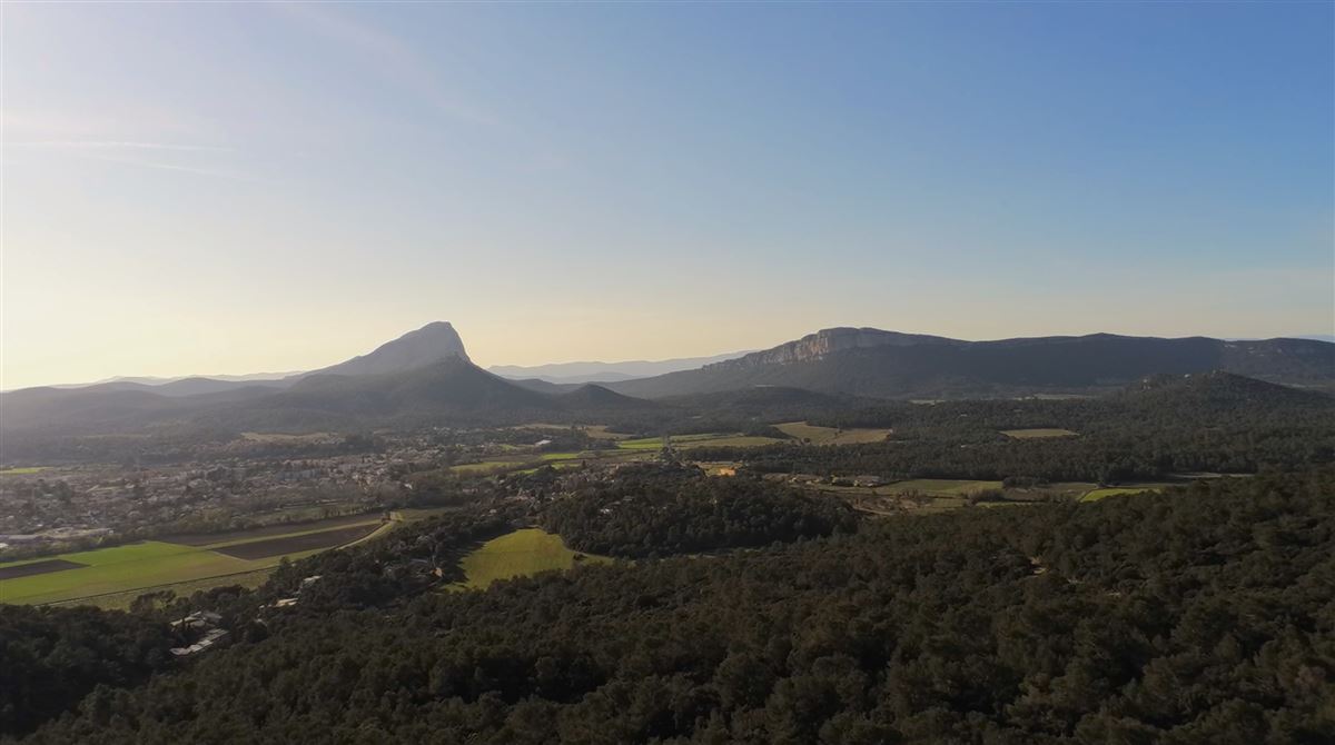Mas Pagès 2023 Pic Saint Loup AOP Rouge